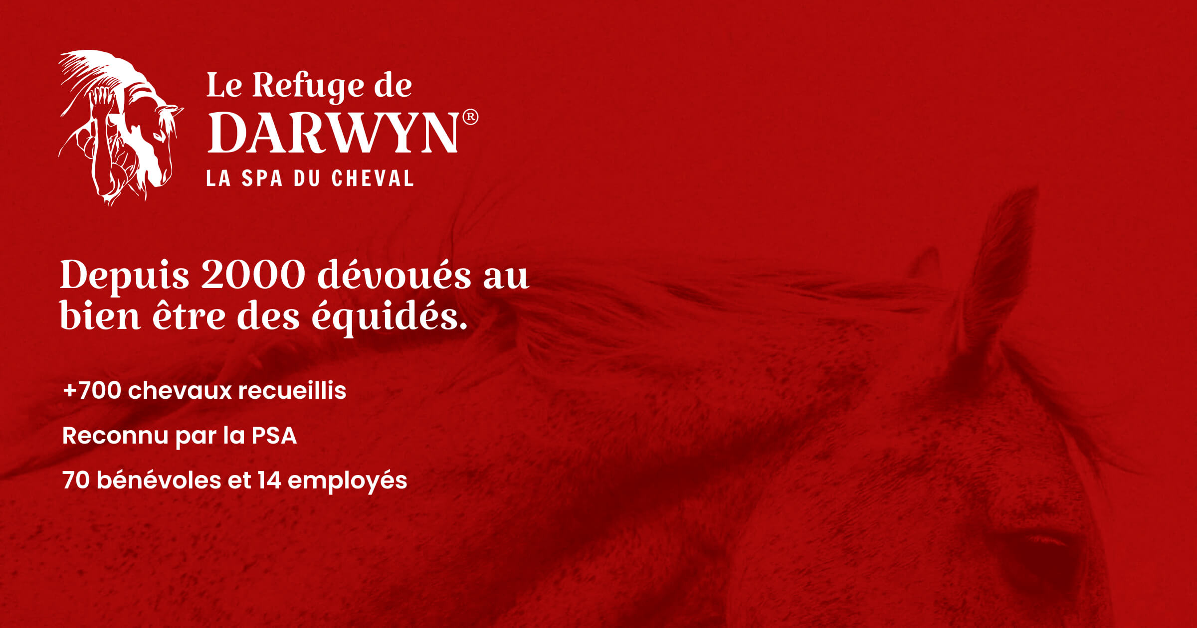 Chevaux - À placer - Le Refuge de Darwyn